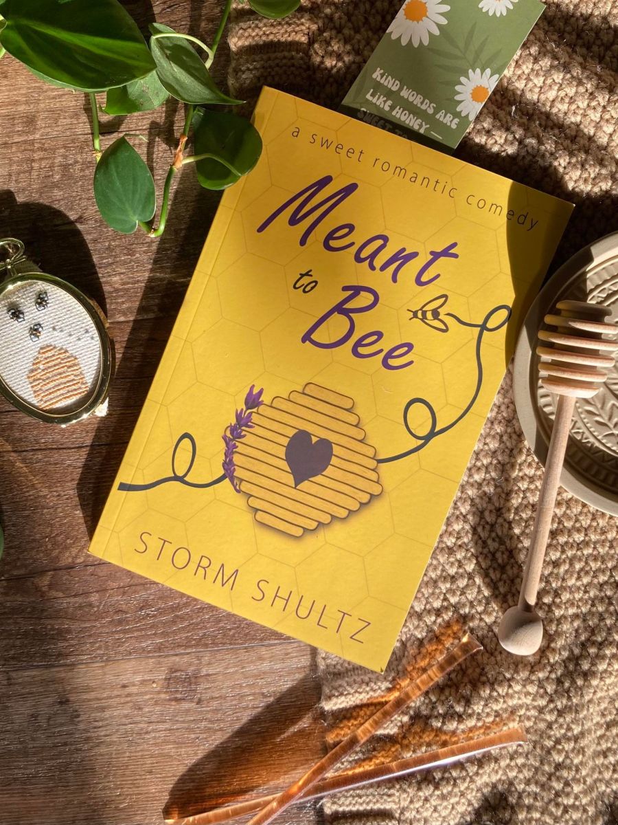 Storm Shultz – Christian Fiction author